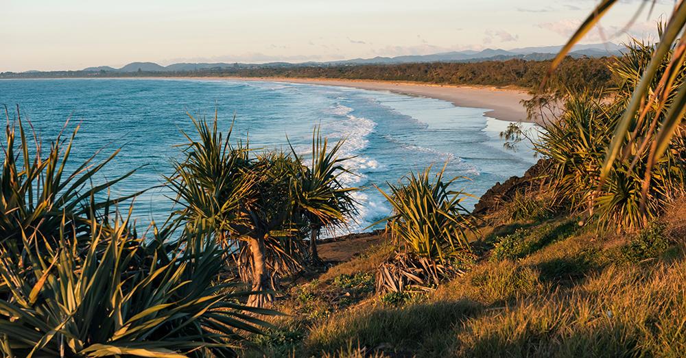 Home | LGNSW