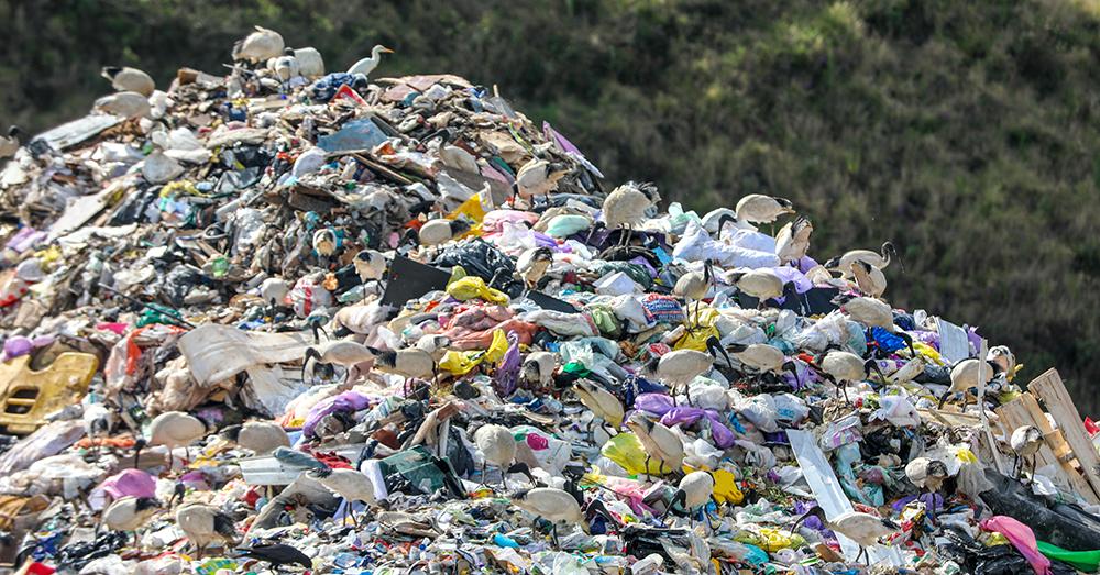 Have your say on draft waste and circular infrastructure plan | LGNSW