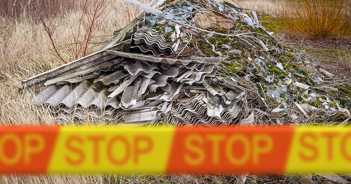 LGNSW Asbestos Policy Project 2025-2026 Survey | LGNSW